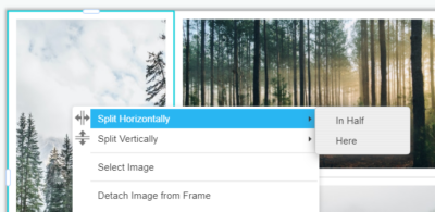 Split A Cell In A Classic Collage - Visual Paradigm Blog