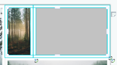 Split A Cell In A Classic Collage - Visual Paradigm Blog