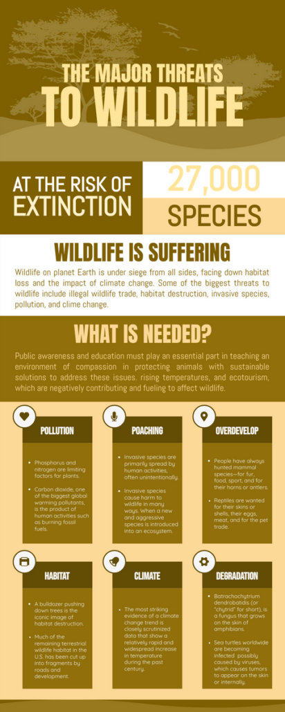 6 Biggest Threats To Wildlife Infographic - Visual Paradigm Blog