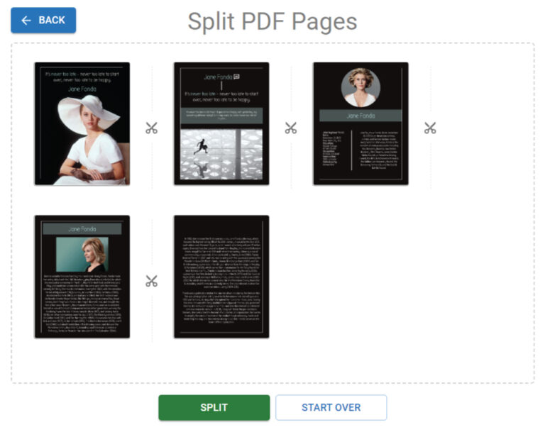 How to split a PDF into multiple files - Visual Paradigm Blog