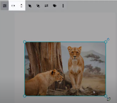 How to Flip a photo horizontally or vertically - Visual Paradigm Blog