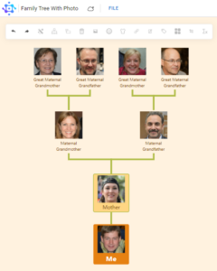 Exploring Your Ancestry - Visual Paradigm Blog
