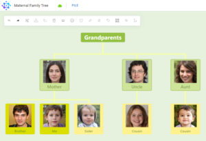 Discover the Benefits of Using Our Free Family Tree Tool for ...
